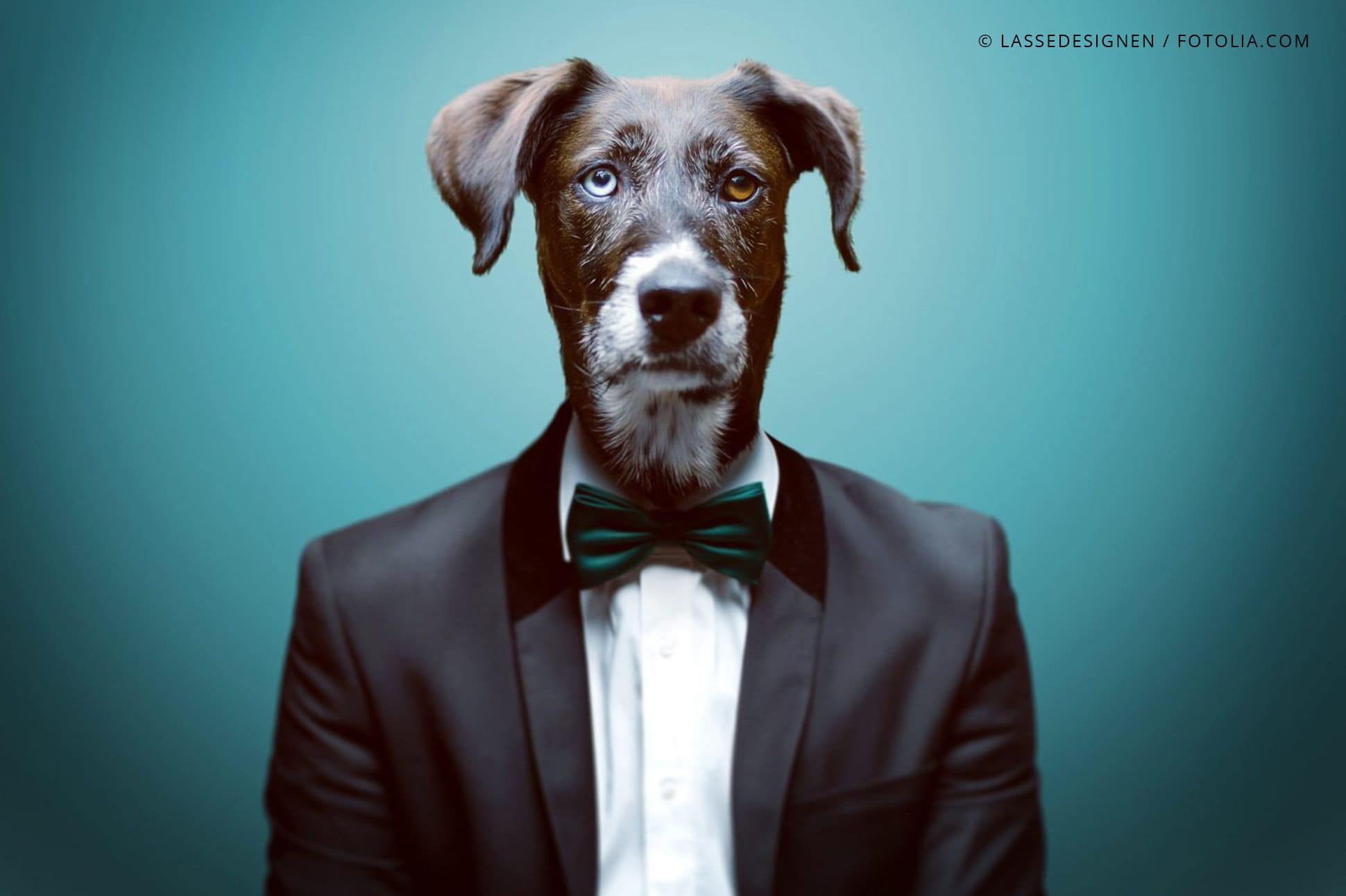 Business-Knigge: Die wichtigsten Jobregeln » be optician